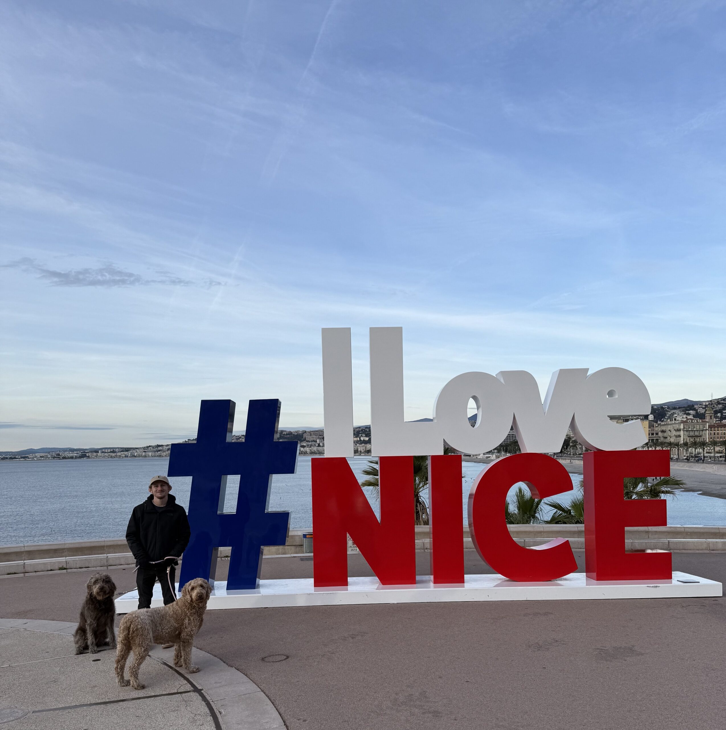 Life in France with Dogs | The American in Paris